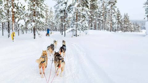 Finland Travel | Visit Finland | Trip to Finland | Collette